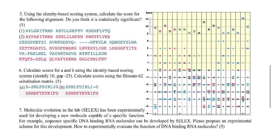 5. Using the identity-based scoring system, calculate | Chegg.com