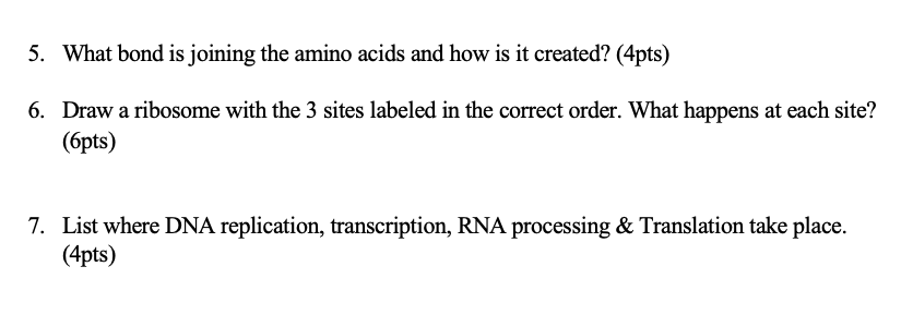 Solved Follow the directions for each question. You will | Chegg.com