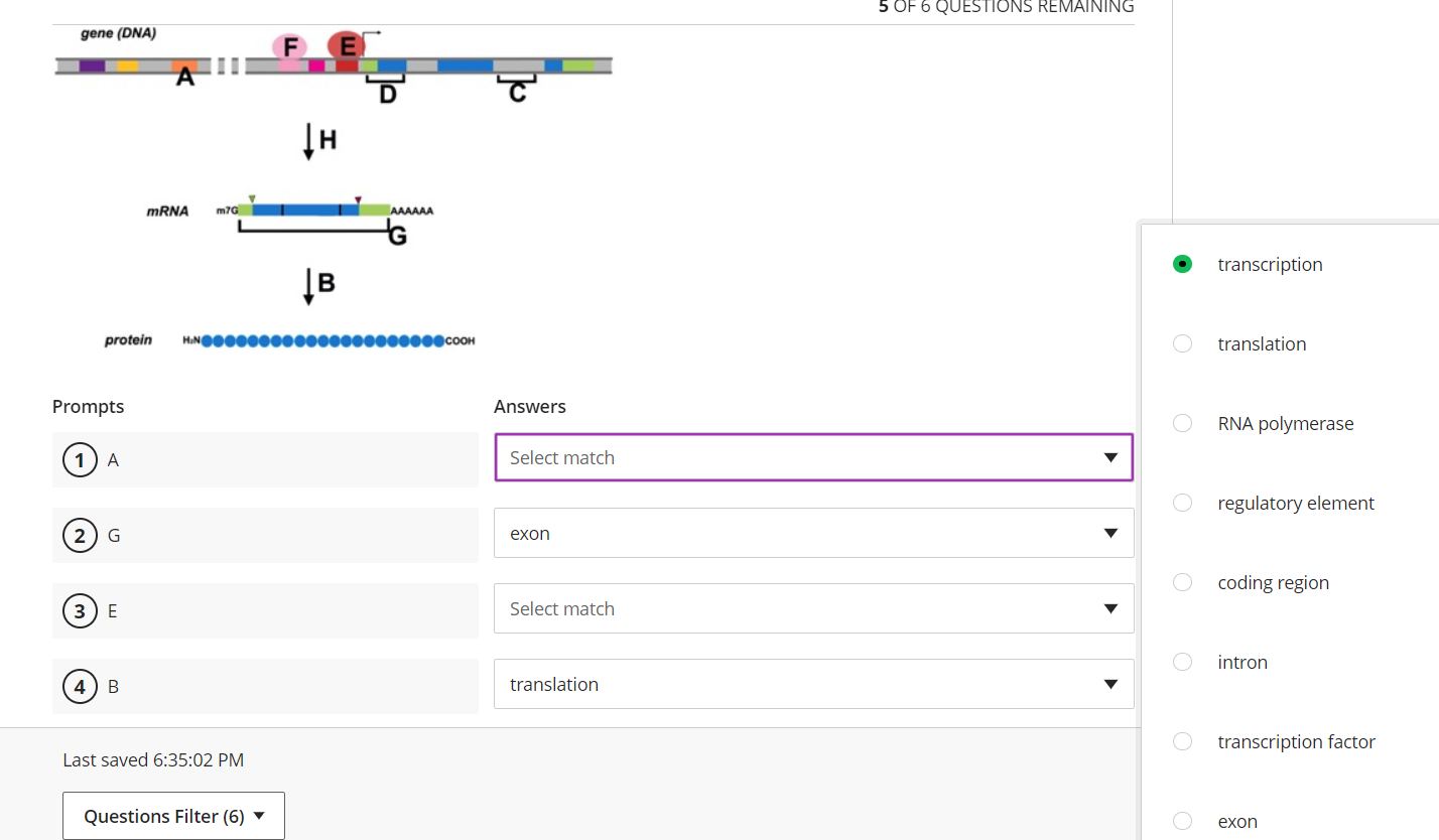 Solved I need help labeling A-H. | Chegg.com Solved I need help labeling A-H. | Chegg.com