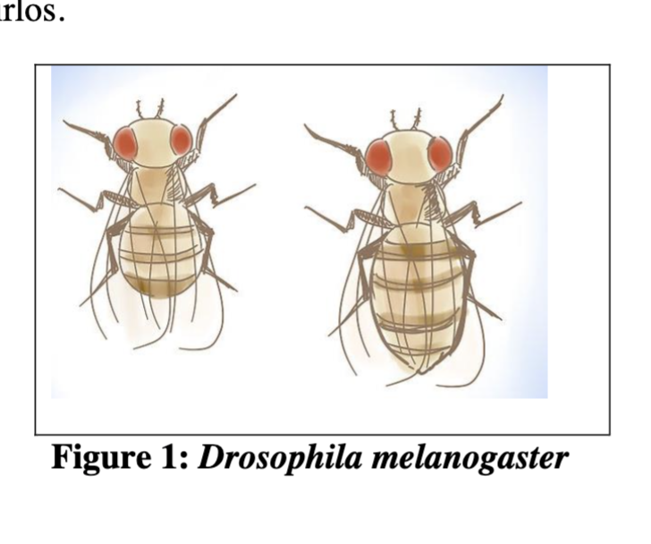 Solved Answer the following questions: 1. Name 4 common | Chegg.com
