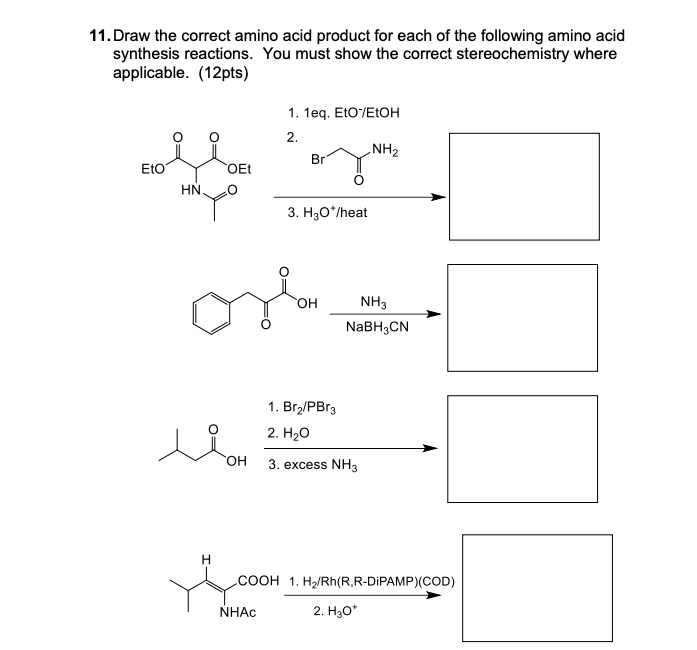 Solved 11.Draw the correct amino acid product for each of | Chegg.com