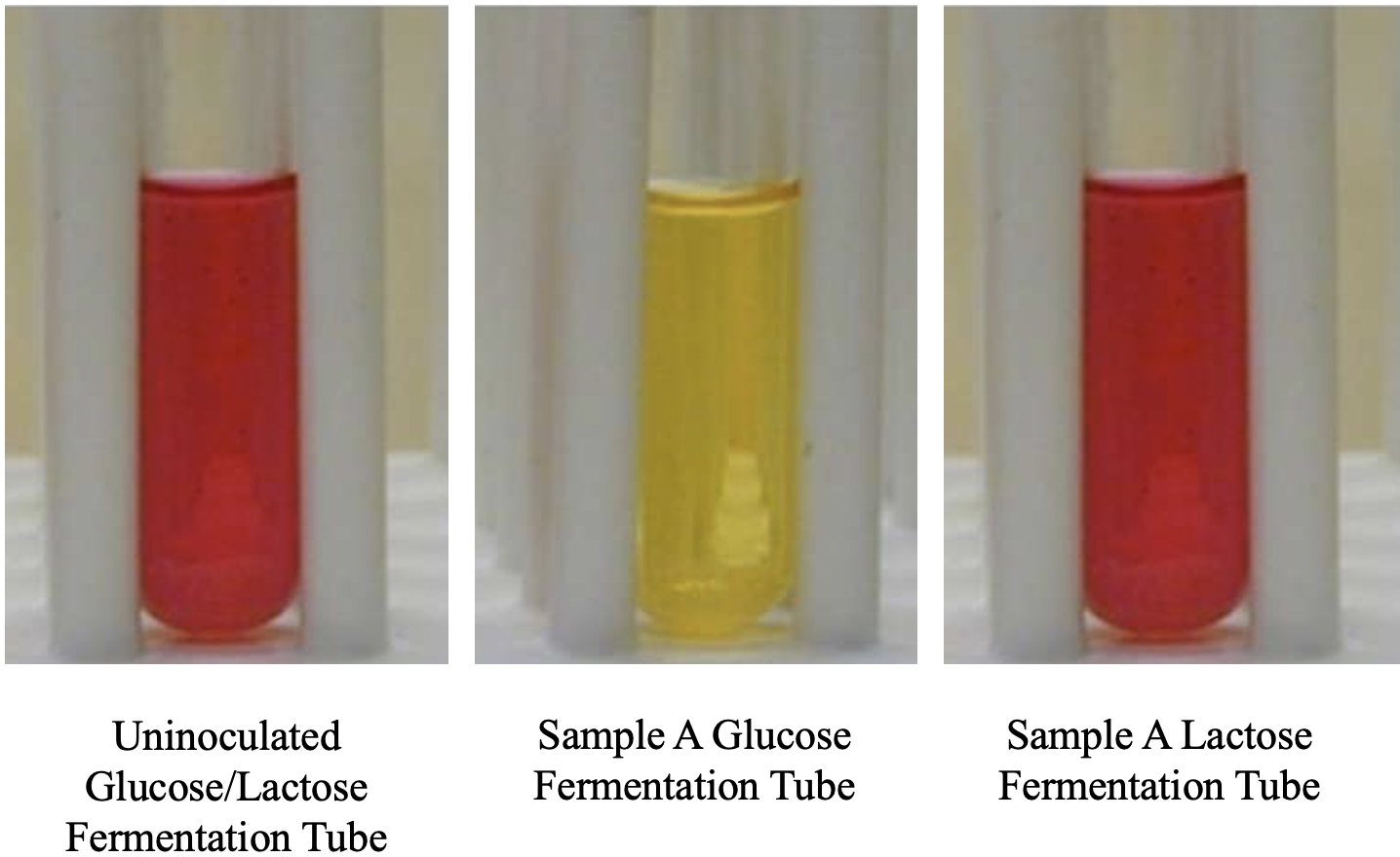Solved Identification of Unknown C: Experiment Results | Chegg.com