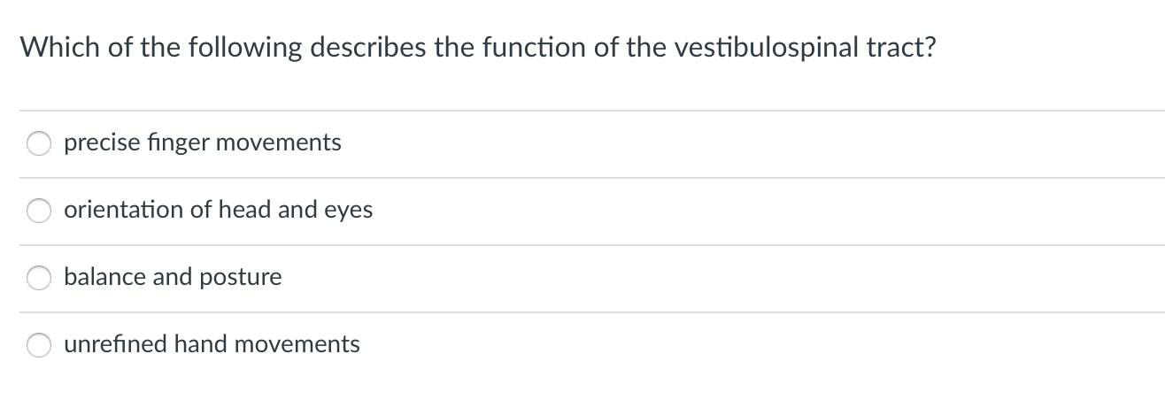 Solved Which of the following describes the function of the | Chegg.com