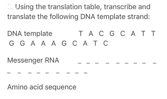 Solved Using the translation table, transcribe and translate | Chegg.com