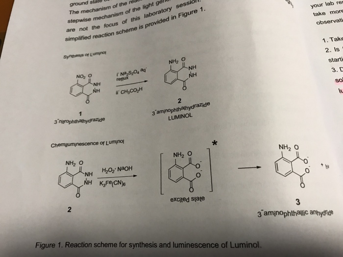 Solved reaction mechanism of luminol synthesis | Chegg.com