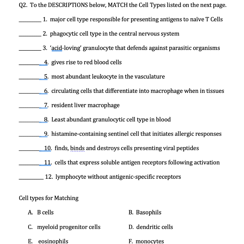 Solved Q2. To the DESCRIPTIONS below, MATCH the Cell Types | Chegg.com
