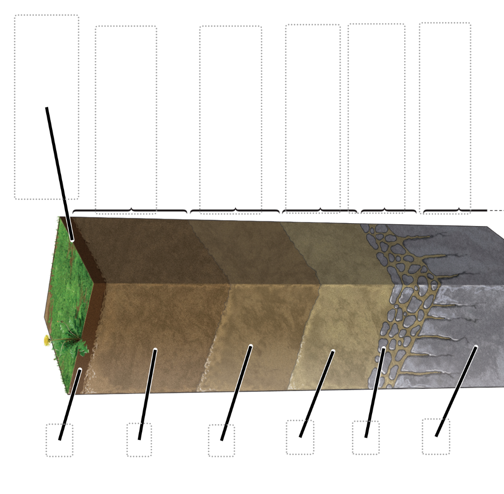 Solved A subsoil layer formed by eluviation containing clay, | Chegg.com