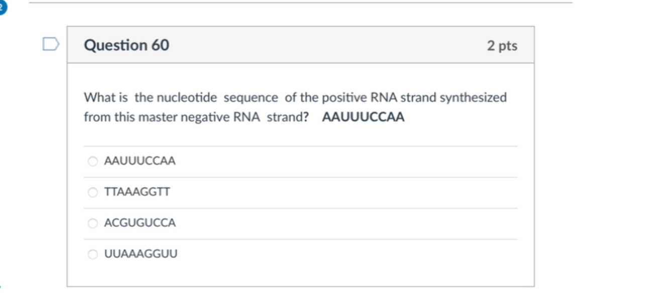 Solved What is the nucleotide sequence of the positive RNA | Chegg.com