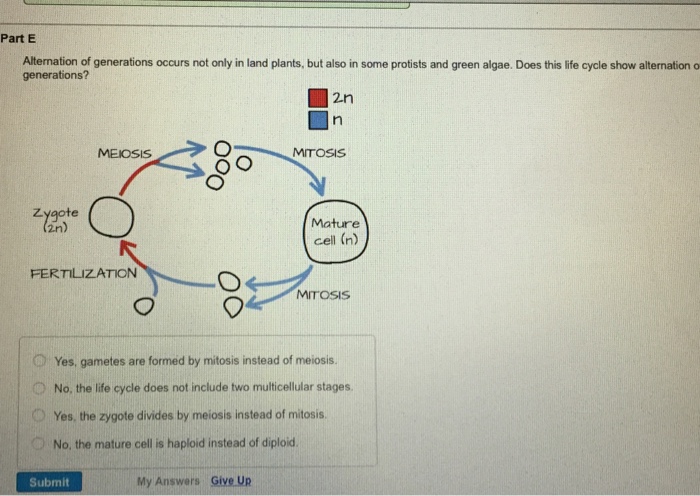 Solved Alternation of generations occurs not only in land | Chegg.com