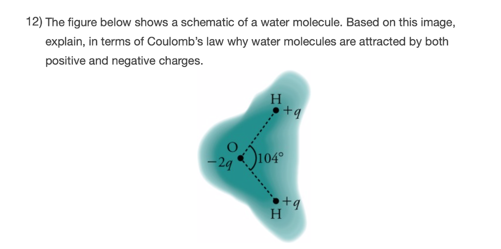 Water Molecule With Charges