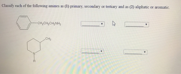 Solved Classify each of the following amines as (1) primary, | Chegg.com