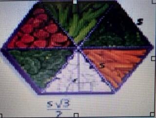 Solved Think About a Plan A hexagonal tray of vegetables has | Chegg.com