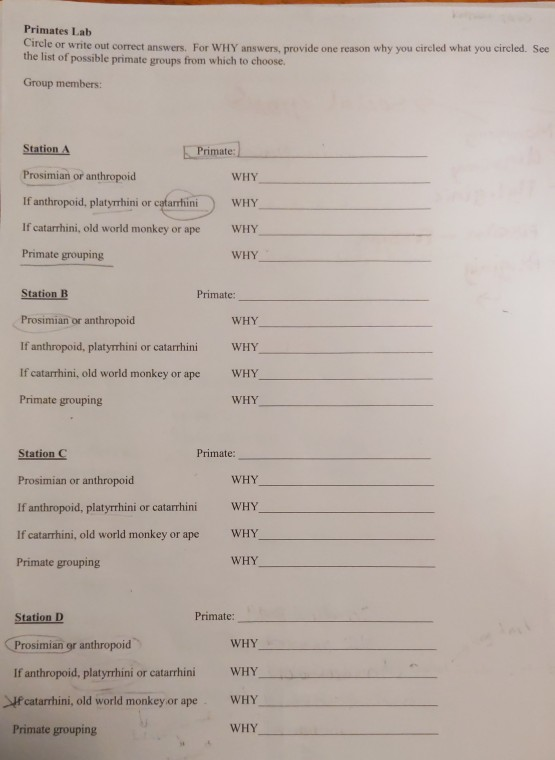 Primates Lab Circle or write out correct answers. For | Chegg.com