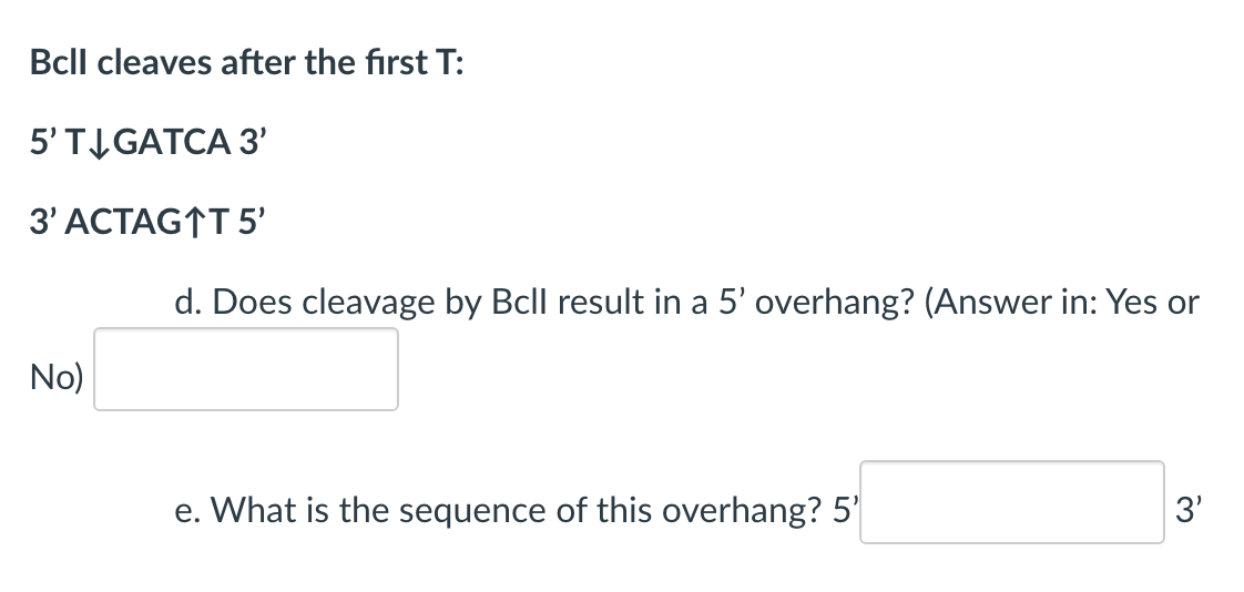 Solved Restriction enzymes are extensively used in molecular | Chegg.com