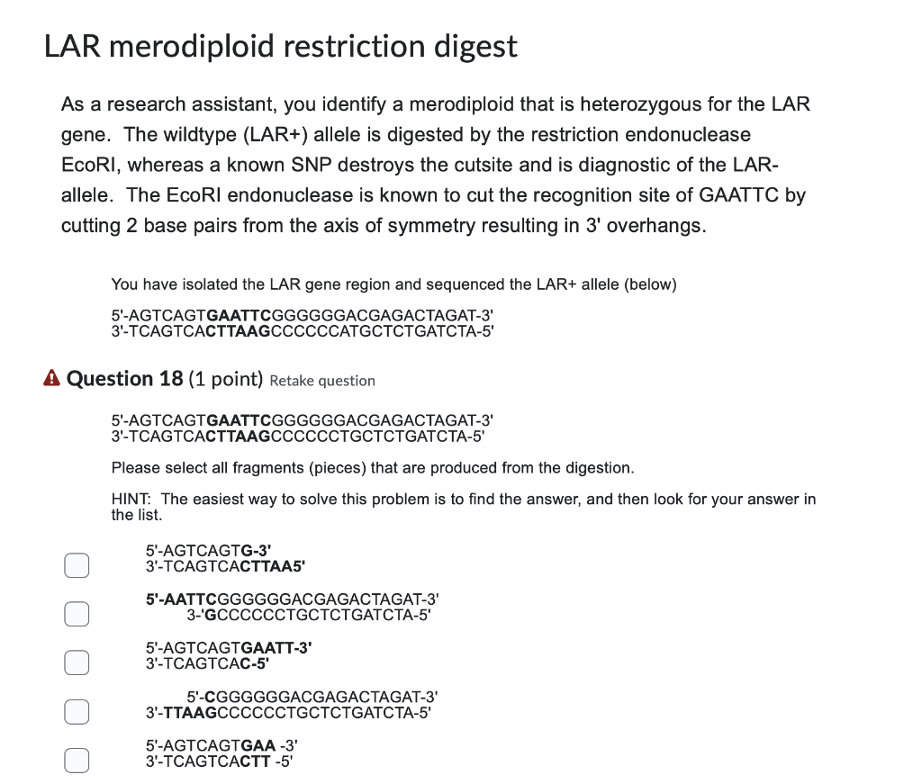 Solved LAR merodiploid restriction digest As a research | Chegg.com