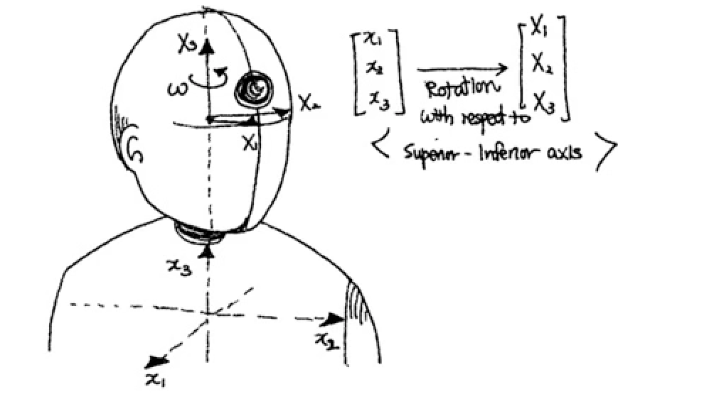 Solved MedRobot Team plans to design a one-eyed humanoid | Chegg.com