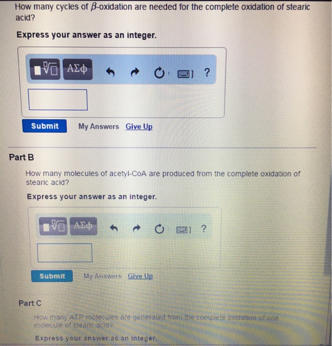 Solved How many cycles of beta-oxidation are needed for the | Chegg.com