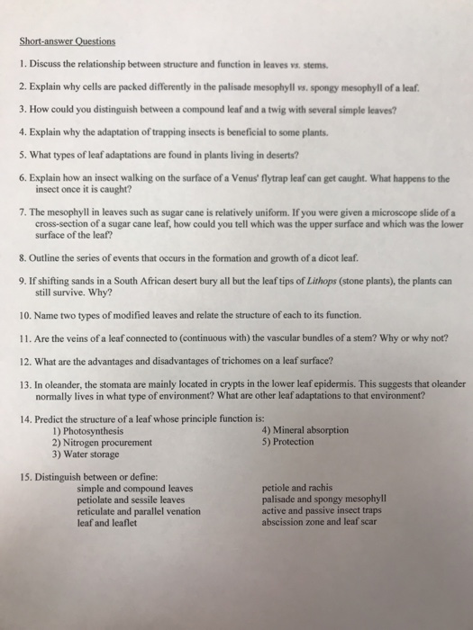 Solved 1. Discuss the relationship between structure and | Chegg.com