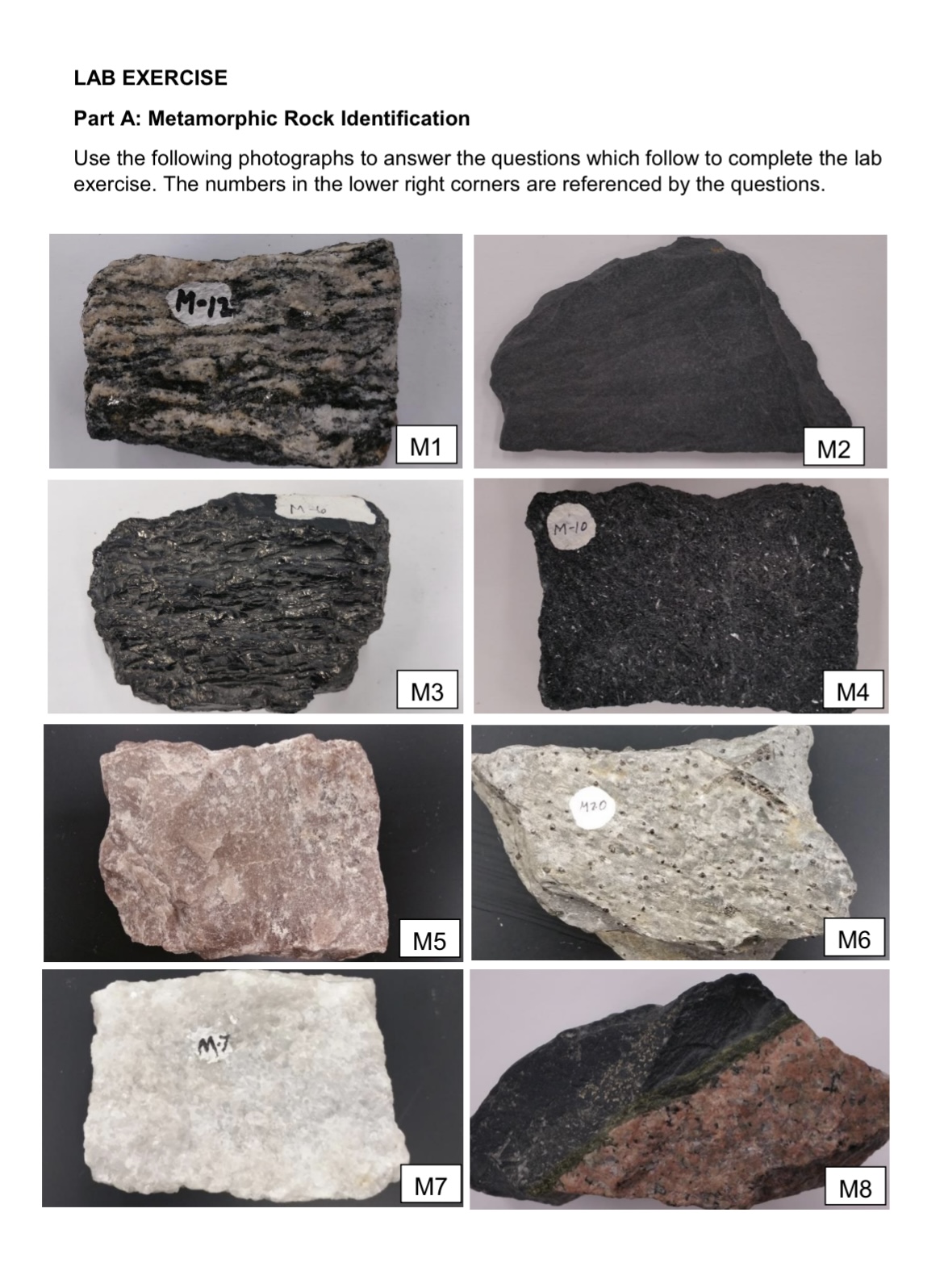Solved LAB EXERCISE Part A: Metamorphic Rock Identification | Chegg.com