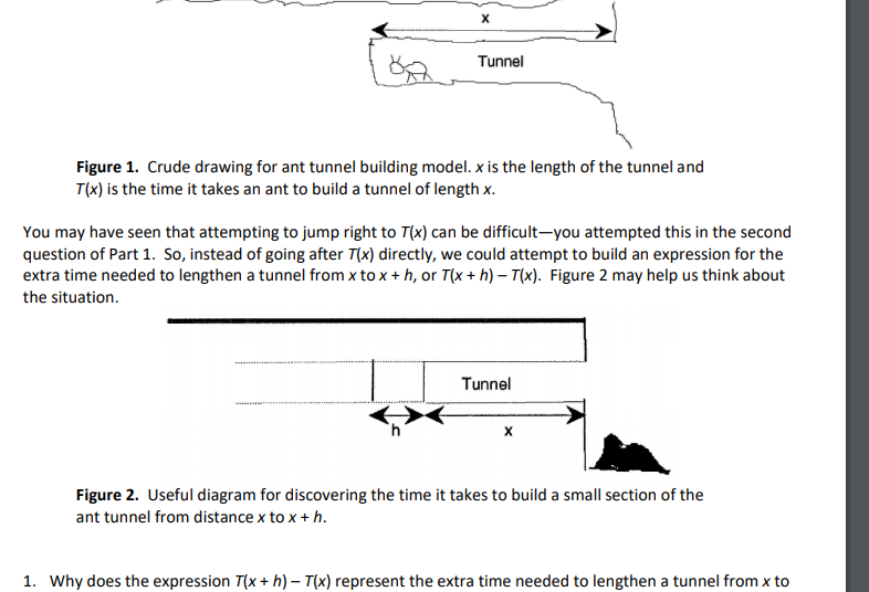 Let’s continue working on the ant tunnel-building | Chegg.com