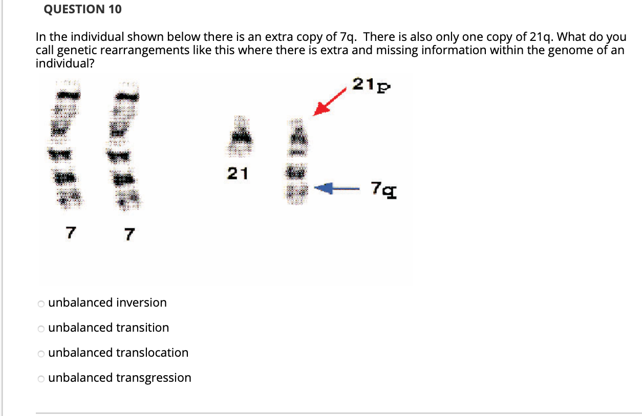 Solved QUESTION 10 In the individual shown below there is an | Chegg.com