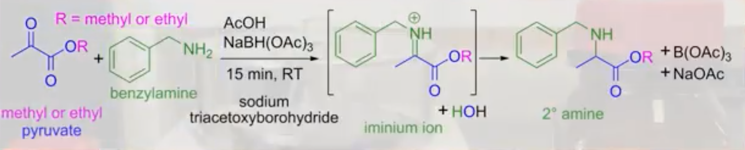 Solved The following experiment took place. Methyl Pyruvate: | Chegg.com