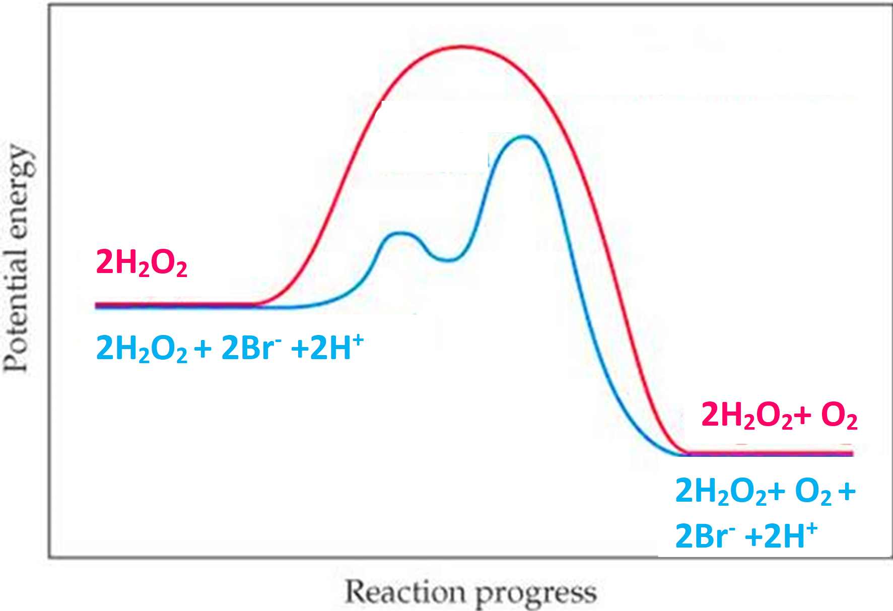 Solved Hydrogen peroxide decomposes into water and oxygen by | Chegg.com