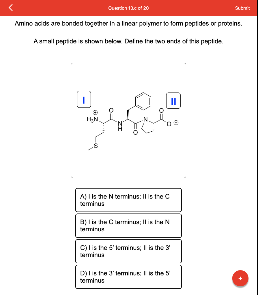 Solved Amino acids are bonded together in a linear polymer | Chegg.com