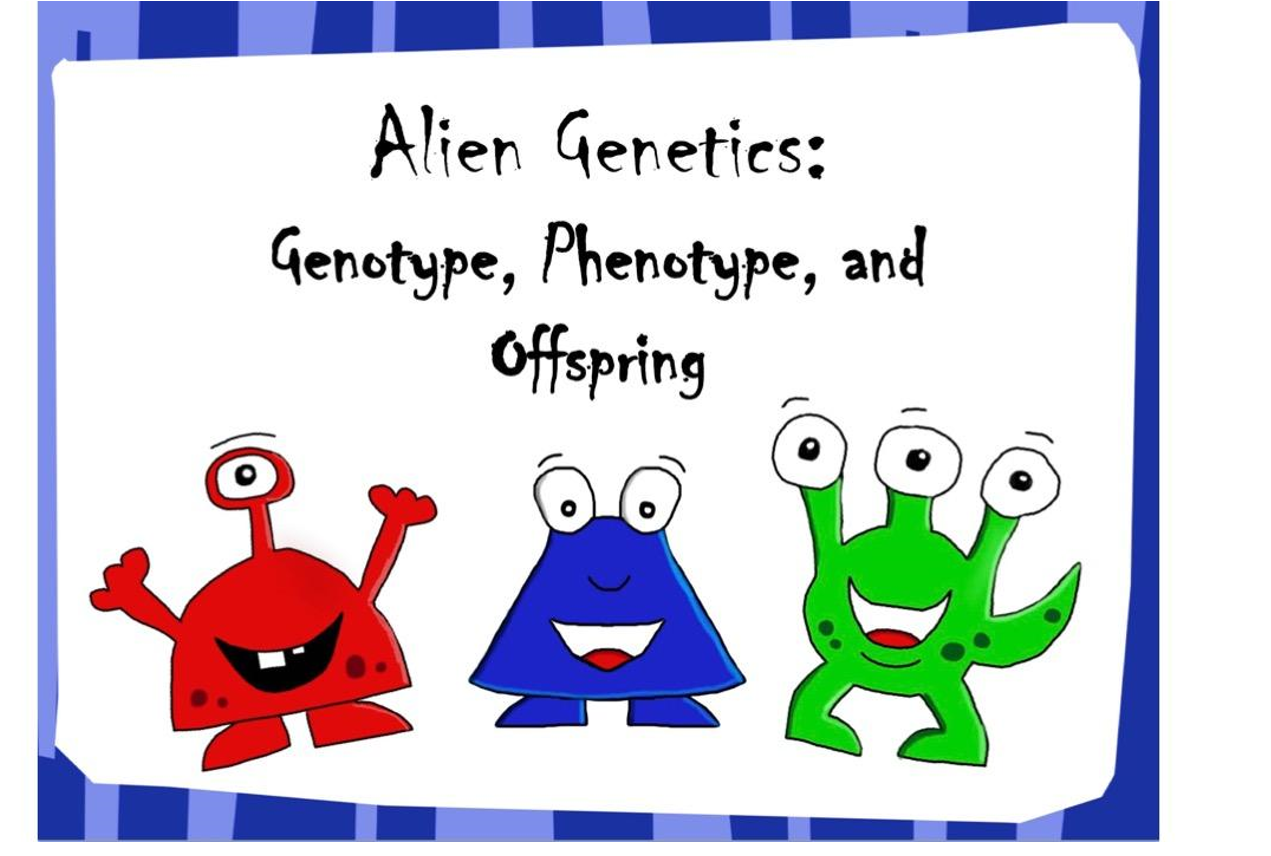 Solved Alien Genetics: Genotype, Phenotype, and Offspring | Chegg.com