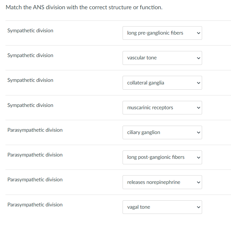 Solved Match the ANS division with the correct structure or | Chegg.com
