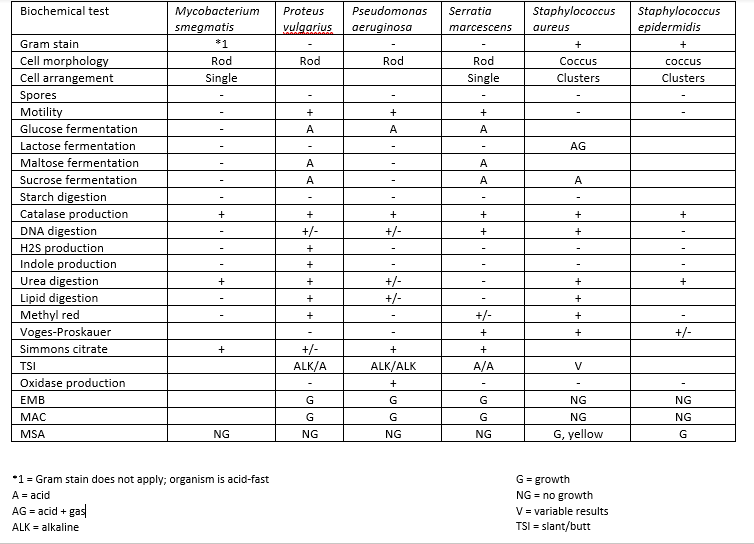 Solved To complete this assignment, you will need the | Chegg.com