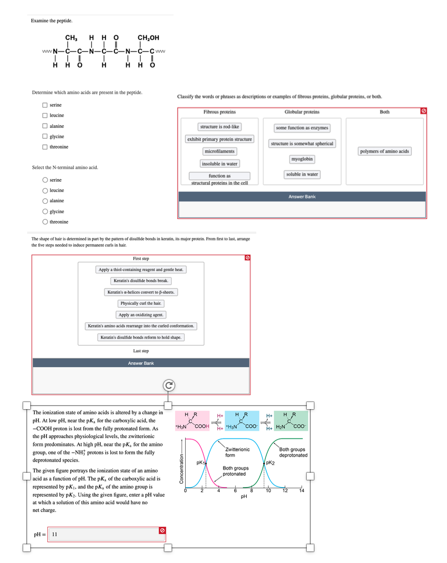 Solved Examine the peptide. CH, HH O CH OH | Chegg.com