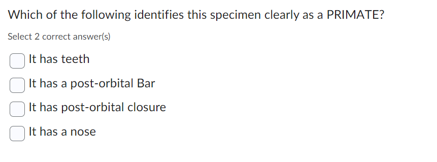 Solved Which of the following identifies this specimen | Chegg.com