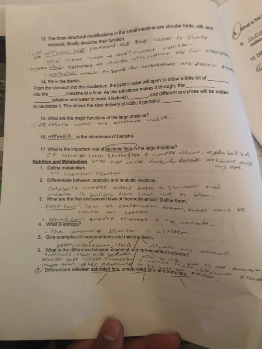 Anatomy And Physiology Archive | May 31, 2018 | Chegg.com