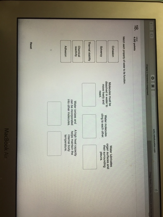 Solved Chapter 2 Homework Assionment o. 4.00 points Match | Chegg.com