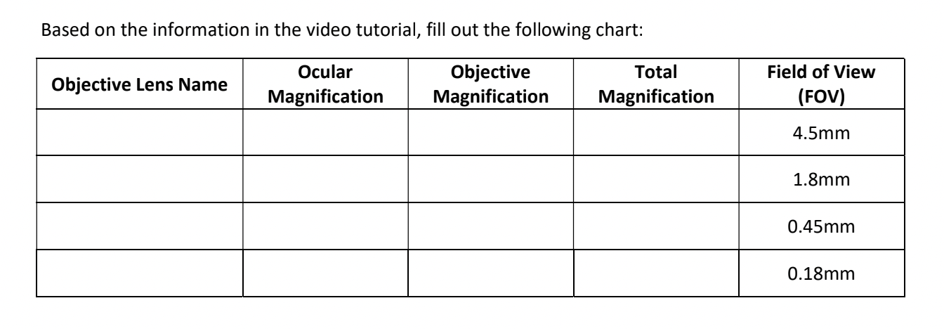 Based on the information in the video tutorial, fill | Chegg.com