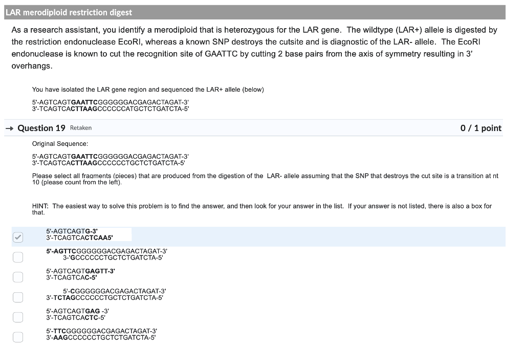 Solved As a research assistant, you identify a merodiploid | Chegg.com