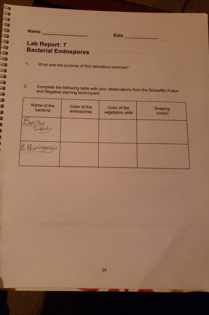Name Date Lab Report: 7 Bacterial Endospores 1. What | Chegg.com