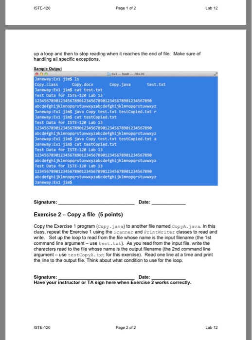 Solved Exercise 1-Copy a file (5 points) The purpose of this | Chegg.com