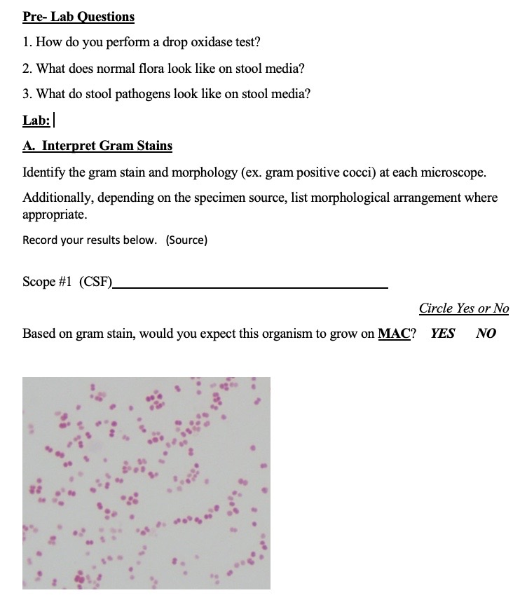 Solved Pre- Lab Questions 1. How do you perform a drop | Chegg.com