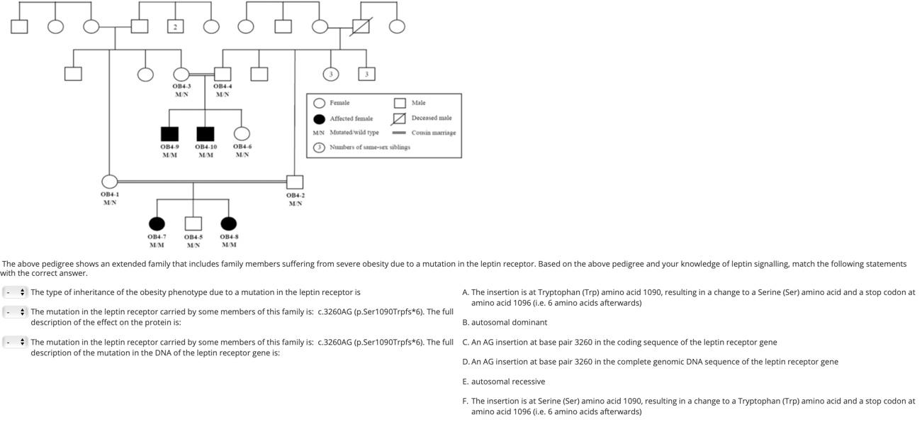 Solved 0 OB4-3 M/N OB4-4 M/N OB4-9 M/M Female Male Affected | Chegg.com