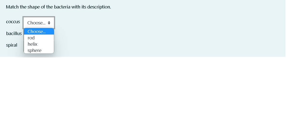 Solved Match the shape of the bacteria with its description. | Chegg.com