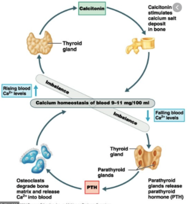 Solved State the effector and sensor of this system. Then | Chegg.com