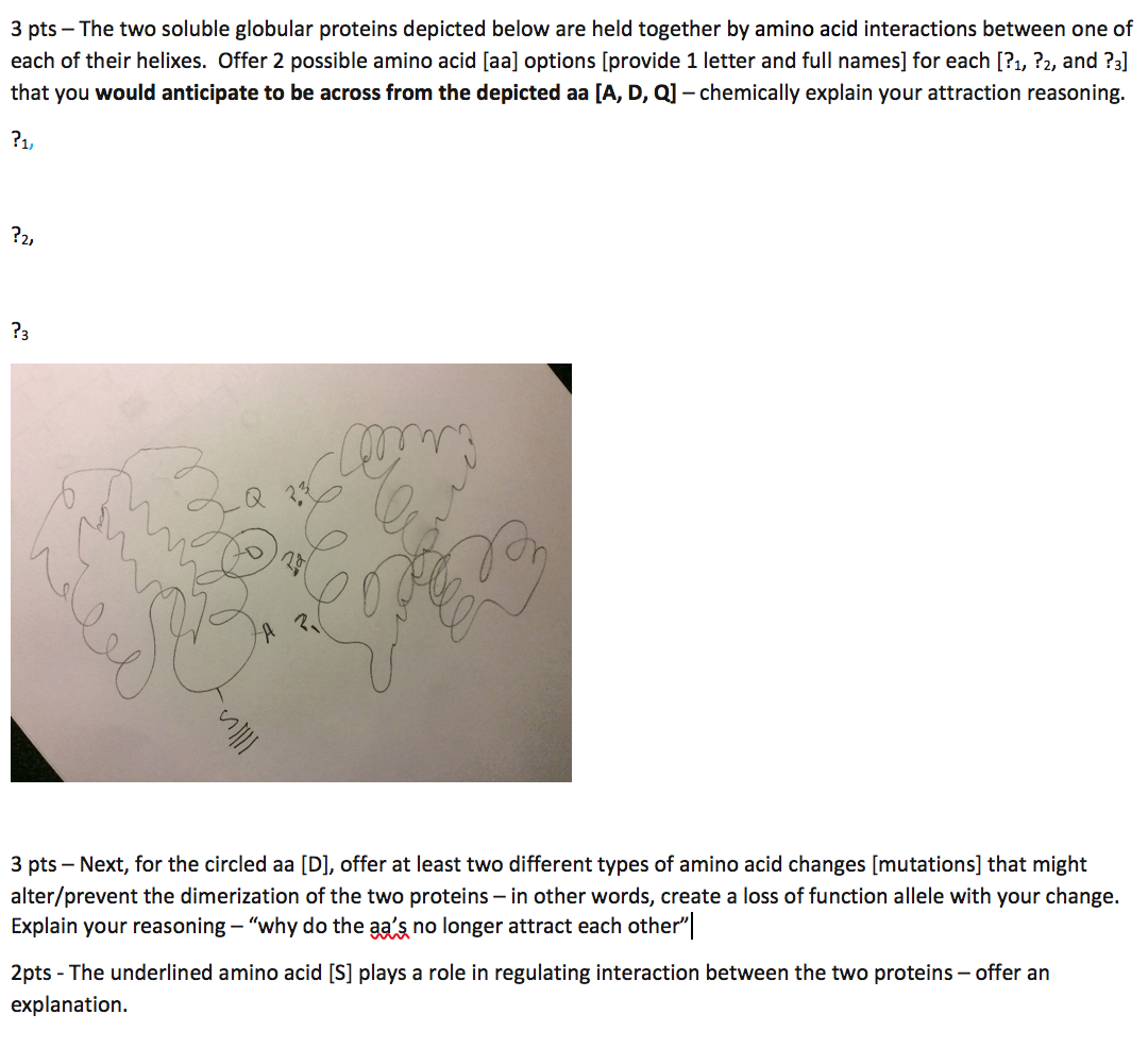 Solved 3 pts - The two soluble globular proteins depicted | Chegg.com