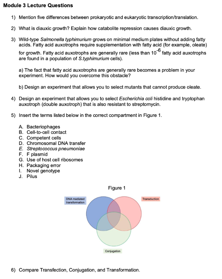 Solved Module 3 Lecture Questions 1) Mention five | Chegg.com