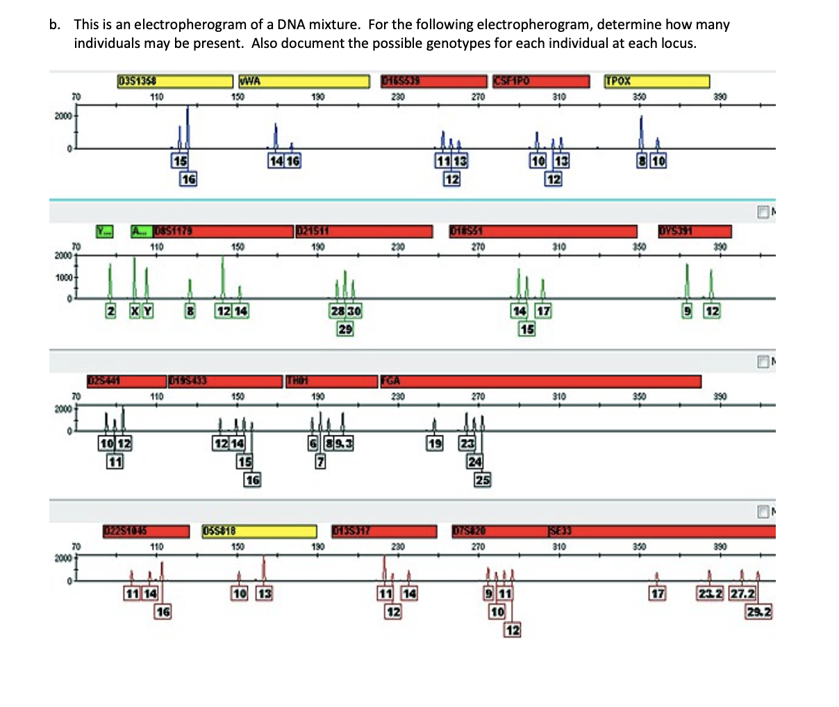 b. This is an electropherogram of a DNA mixture. For | Chegg.com