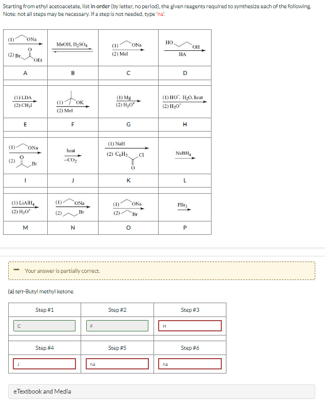 Solved Starting with Ethyl acetoacetate how do you create | Chegg.com