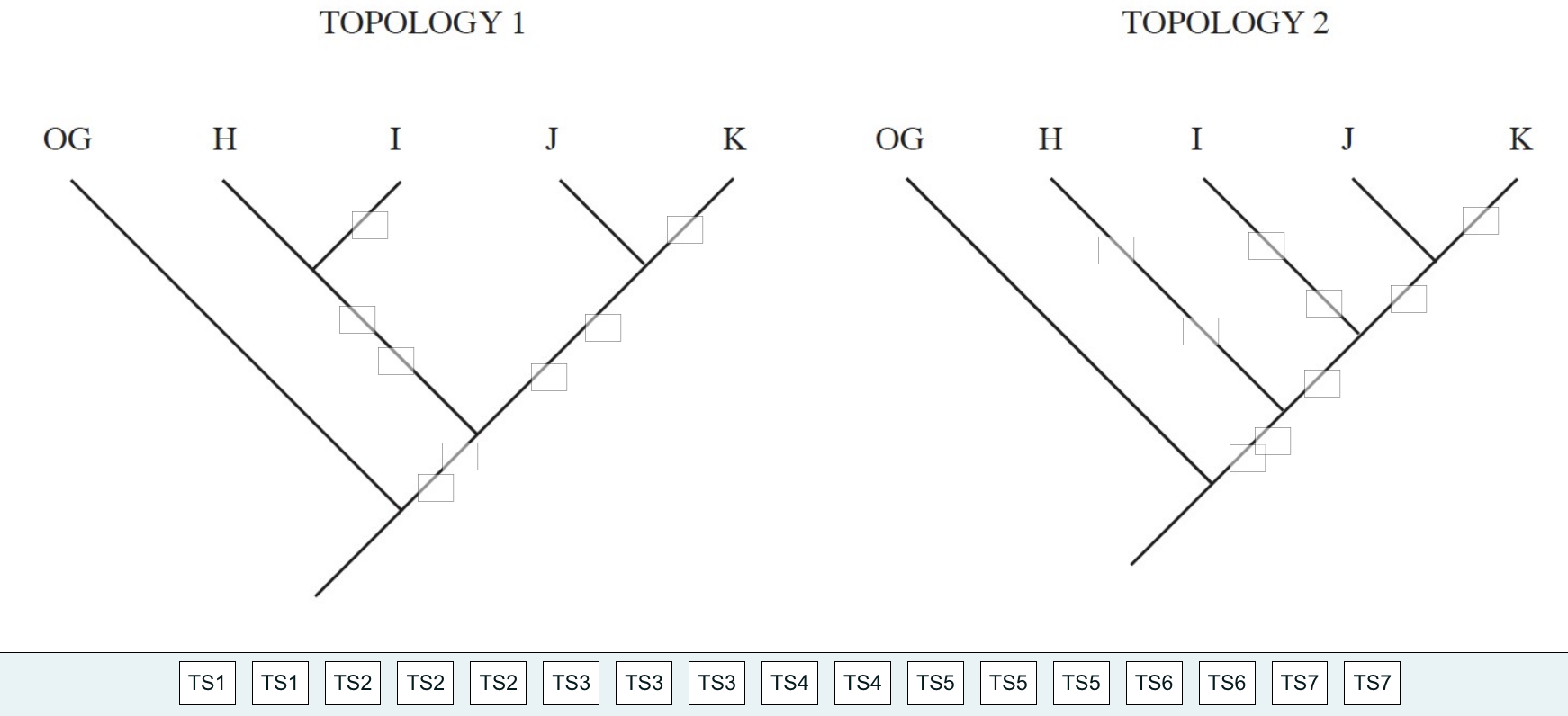 Solved Using the matrix of characters below, drag and drop | Chegg.com