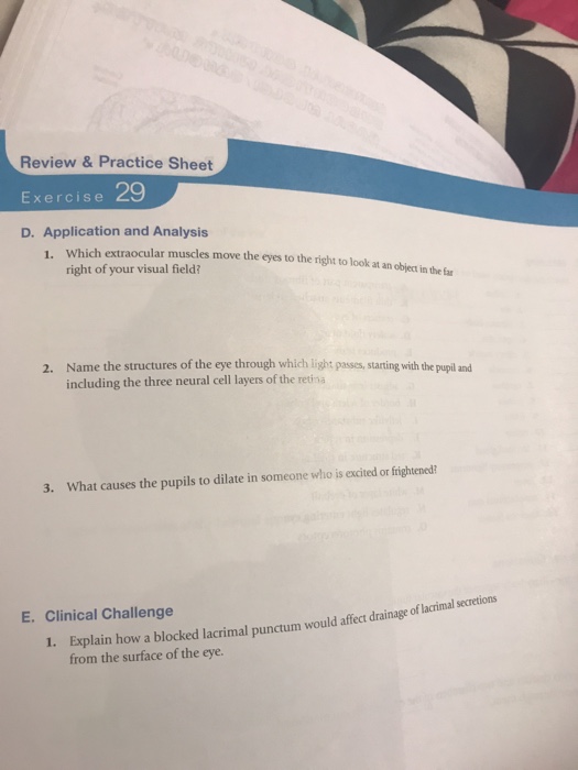 Solved Review & Practice Sheet Exercise D. Application and | Chegg.com