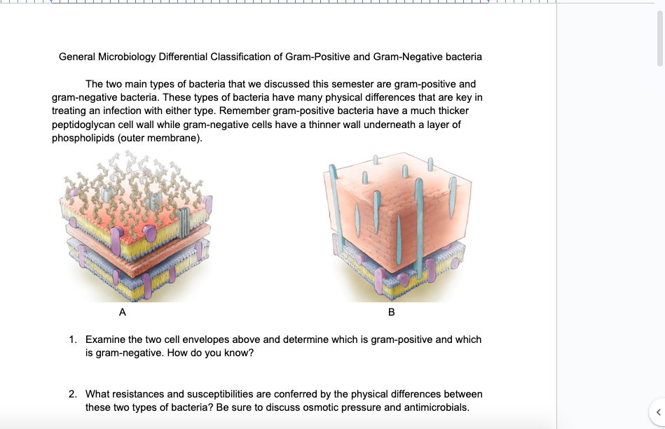 Solved General Microbiology Differential Classification of | Chegg.com